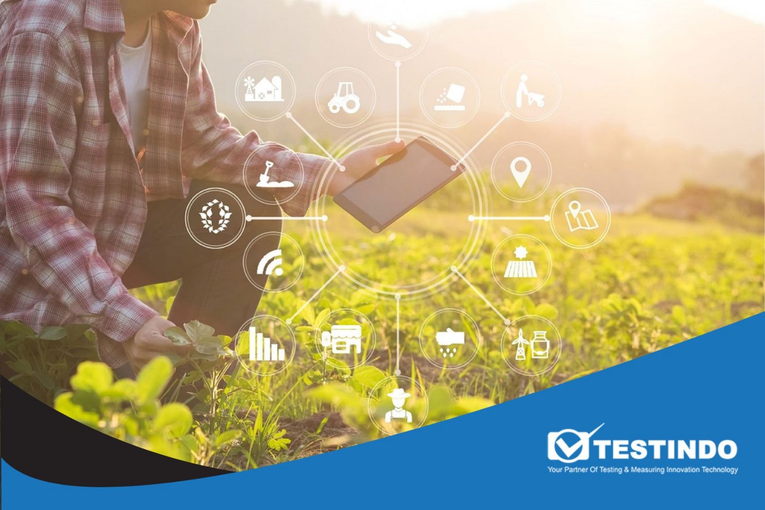 Pertanian Modern dengan Menerapkan Smart Farming - TESTINDO.CO.ID